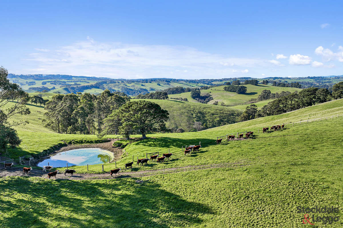 80 Inglis Lane, Mirboo North VIC 3871 - Stockdale & Leggo