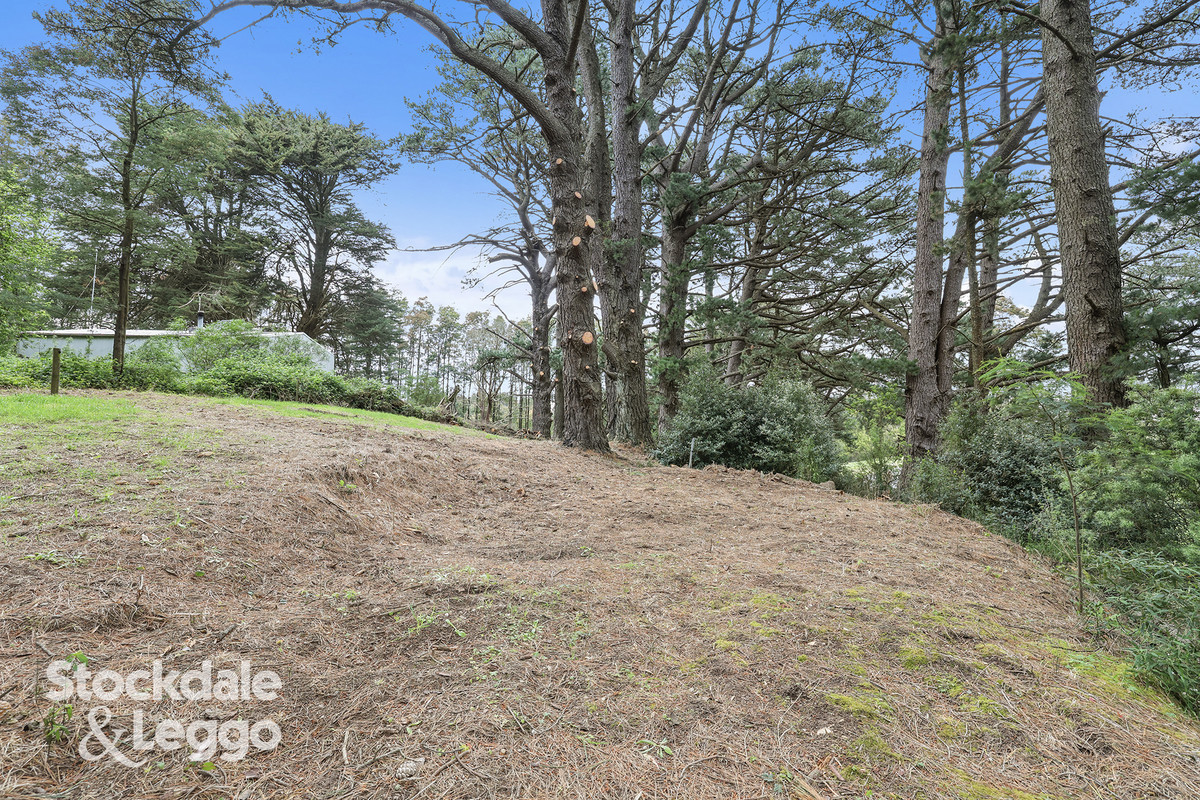 1455 Grand Ridge Road, Trida VIC 3953 - Stockdale & Leggo
